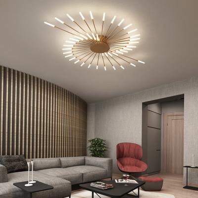 China Nordic fireworks ceiling lamp bedroom living room LED black ceiling lights for sale
