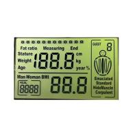 China Home Appliances Twisted Nematic 300 - 500cd/M2  Display Lcd Tn Panel,segment lcd display,segment lcd for sale