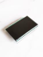 China 1.97-inch Wide Temp Full-View VA Negative Segmented Color LCD Display – Custom Size Available for sale