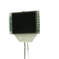 China Custom Negative Transmissive Segmented LCD Display – RoHS & REACH Compliant,segment lcd display,segment lcd for sale