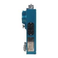 China Optical Interference Type Methane Detector for Accurate CH4 Concentration Measurement for sale