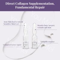 China OEM ODM Collagen Anti Aging Ampoule Serum 5% Niacinamide Whitening Hydrating Repair 30ml for sale