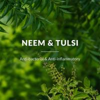 China Vegan Neem Tulsi Face Wash with Salicylic Acid 1-10% Concentration pH 5.5 Cleansing Foam OEM ODM for sale