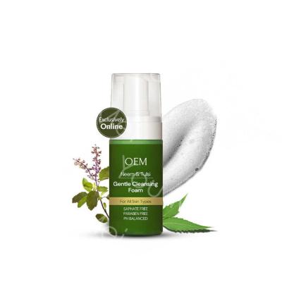 China Vegan Neem Tulsi Face Wash with Salicylic Acid 1-10% Concentration pH 5.5 Cleansing Foam OEM ODM for sale