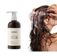 China Organic Keratin Anti Dandruff Shampoo 500ml Moisturizing Oil Control for Healthy Curly Hair OEM ODM for sale