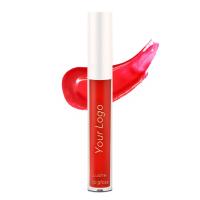 China OEM ODM Customizable Matte Liquid Lipstick 18 Shades Long-lasting Waterproof Hydrating Cosmetics for sale
