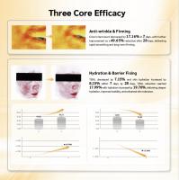 China OEM ODM Turmeric EV Anti-Aging Serum Fibroblast Activation Wrinkle Reduction 30ml for sale