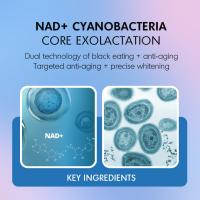 China OEM ODM Brand Skincare Facial Serum NAD Blue Algae Anti-Aging DNA Repair Facial Firming Anti-Wrinkle Target Black Spots for sale