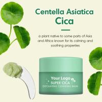China OEM ODM Brand Customized Gentle Cleansing Cream with Natural Centella Asiatica for Exfoliation, Soothing, Hydration, and Makeup Remover for Facial Cleansing for sale