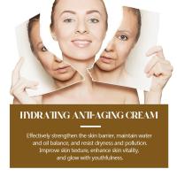 China OEM ODM Brand Customized Retinol Alpha Hydroxy Acid Face Cream Brightening Nourishing Anti-Aging Facial Hydrating Skin for sale