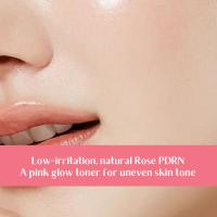 China OEM ODM Korean Rose PDRN Niacinamide Peptide Pink Facial Toner Private Label Anti-Aging Brightening Facial Toner Skincare Product for sale