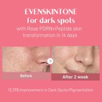 China OEM ODM Korean Rose PDRN Niacinamide Peptide Pink Facial Toner Private Label Anti-Aging Brightening Facial Toner Skincare Product for sale