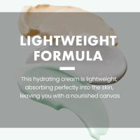 China OEM ODM brand customized face cream anti-aging facial moisturizing cream lotion weight reducing natural brightening skin care products for sale