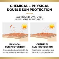 China OEM ODM Korean Custom Brand Spf 50 Anti Aging Skincare Product Firm Moisturizing Brightening Day Cream Facial Moisturizing Cream for sale