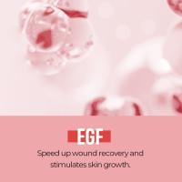 China OEM ODM brand organic EGF essence Korean anti-aging essence face cream skin care product Wrinkle resistant brightening anti-aging facial skin care package for sale