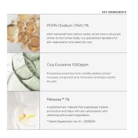China OEM ODM ExosomeSerum Own brand natural skin care Centalla moisturizing cream Repairs anti-aging skin care facial essence for sale