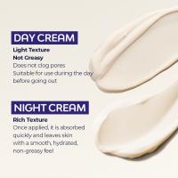China OEM ODM Korean face cream natural night face cream skin care product anti-aging nourishing wrinkles moisturizing facial moisturizer for sale