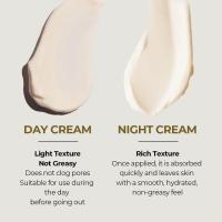 China OEM ODM Brand Customized Day Cream Night Cream Anti-Aging Wrinkle Facial Hydrating Cream SPF 30 Retinol and Vitamin E Skincare Face Cream for sale