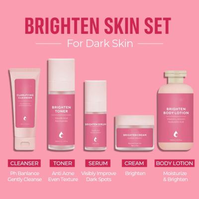 China OEM ODM Brand Customized Skincare Set Anti-Dark Spot Facial Hydrating Toner Vitamin C Brightening Serum Whitening Essence Face Cream Skincare for sale