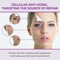 China OEM ODM brand organic skin care set Collagen peptide anti-aging face cream anti wrinkle whitening essence foaming cleanser amino acid for sale