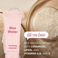 China OEM ODM Rice Skincare Facial Cleanser Korean Brand Skincare Product Gentle Cleaning Moisturizing Brightening Facial Cleanser for sale