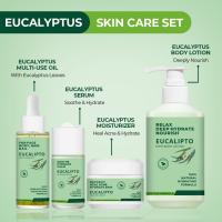 China OEM ODM brand skin care set Eucalyptus facial essence natural soothing and moisturizing acne sensitive skin care facial essence for sale