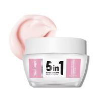 China OEM ODM 5 in 1 face cream Natural skin care whitening anti-aging wrinkle brightening face cream for sale