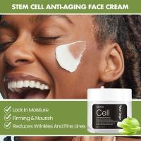 China OEM ODM Korean brand organic skin care product set anti fine lines and wrinkles firming essence to enhance apple stem cell facial moisturizing cream for sale