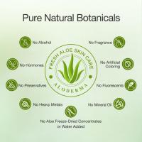 China OEM ODM Korean Organic Facial Skin Care essence Facial Soothing Anti aging Aloe Vera Skin Care Product Facial Anti wrinkle Serum for sale