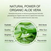 China OEM ODM Korean Organic Facial Skin Care essence Facial Soothing Anti aging Aloe Vera Skin Care Product Facial Anti wrinkle Serum for sale