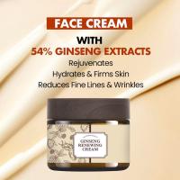 China OEM ODM brand natural ginseng root extract skin care anti-aging moisturizing agent skin care anti-aging face cream&lotion for sale