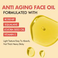 China OEM ODM anti-aging skin care facial essence oil private label Organic skin care product Rosehip anti wrinkle plump facial whitening oil for sale