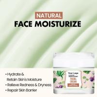 China OEM ODM brand organic face cream anti allergy aloe facial moisturizing cream sensitive skin care moisturizing centella repair face cream for sale