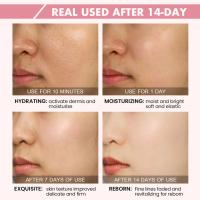 China OEM ODM brand organic skin care face cream beauty product anti-aging facial moisturizing cream collagen wrinkle removing and brightening face cream for sale
