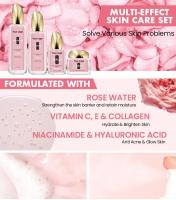 China OEM ODM Korean skin care brand set Organic anti-aging face cream whitening rose facial essence serum vitamin c anti-aging luminous facial toner cleanser for sale