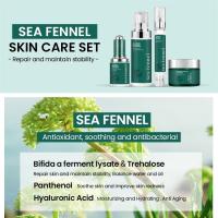 China OEM ODM customized organic skin care package Pure foam facial cleanser mild fennel moisturizing face cream Private brand skin care serum essence for sale