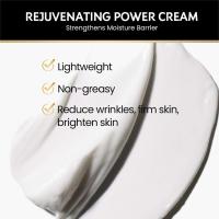 China OEM ODM luxury skin care super lift regenerative youth anti-aging rejuvenating powder face cream facial moisturizing cream private brand for sale