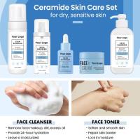 China OEM ODM brand face care set vegetarian ceramide hyaluronic acid face cream repair skin barrier hydration facial serum for sale