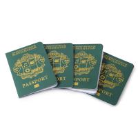 China PU Leather Cover Passport Booklet Printing With Logo Gold Foiled 90mmxH125mm for sale