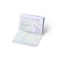 China PU Leather Cover Passport Booklet Printing With Logo Gold Foiled 90mmxH125mm for sale
