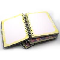 China Frosted Spiral Notebook Printing Plastic Cover Bound Diray Custom 65C for sale