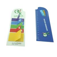 China Bookmarker Custom Sticky Notepad , Branded Sticky Notes With Pagemarkers Printing 60mm X 190mm for sale