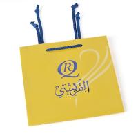 China Garment Shopping Branded Paper Bags embossing Pantone Printing 190x120x210mm for sale