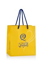 China Garment Shopping Branded Paper Bags embossing Pantone Printing 190x120x210mm for sale