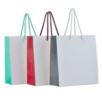 China Commercial Branded Paper Bags Personalized For Beauty 25cmx10cmx26cm for sale