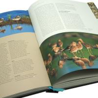 China Color Custom Hardcover Book Printing Short Run Services Self Publish 280pages for sale