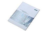 China A4 Custom Peg Saddle Stitch Brochure Printing , Softcover Catalog Booklet Printing for sale