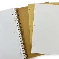 China Hole Punch Golden Binding Spiral Notebook Printing Blank Pages for sale