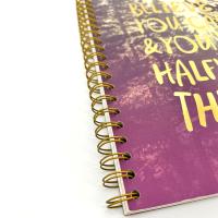 China Hole Punch Golden Binding Spiral Notebook Printing Blank Pages for sale