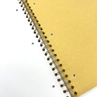 China Hole Punch Golden Binding Spiral Notebook Printing Blank Pages for sale